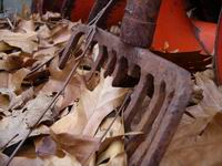 Weekly photo archive